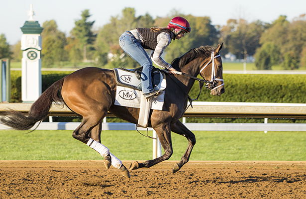 Through the lens: Scenes from Keeneland's morning workouts