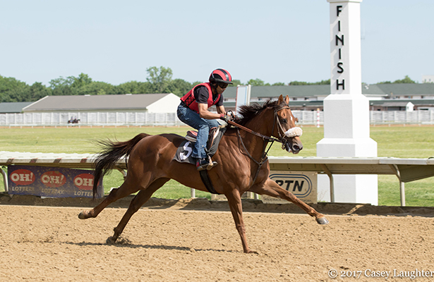 The Ohio Derby - A Photo Blog