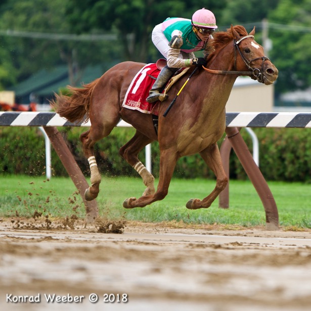 Reflections on a summer photo journey at the races