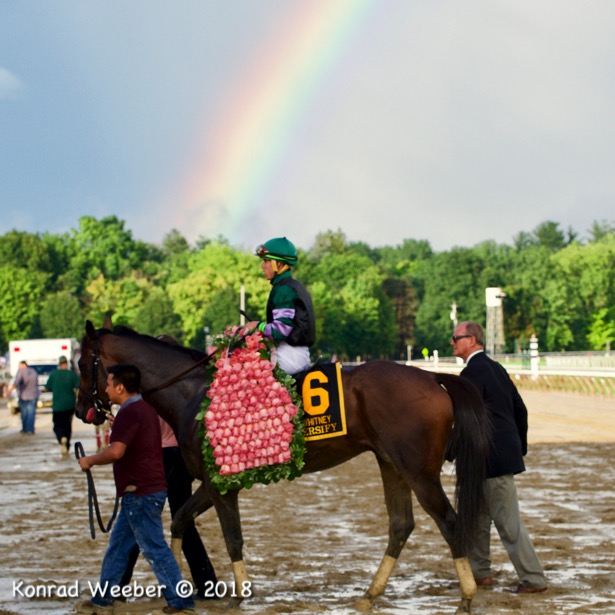 Reflections on a summer photo journey at the races