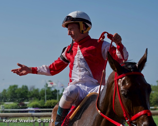 Through the lens: The Prince of Wales Stakes in photos