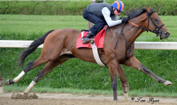 'It's an obsession;' Carroll, trainer's son, begins as jockey