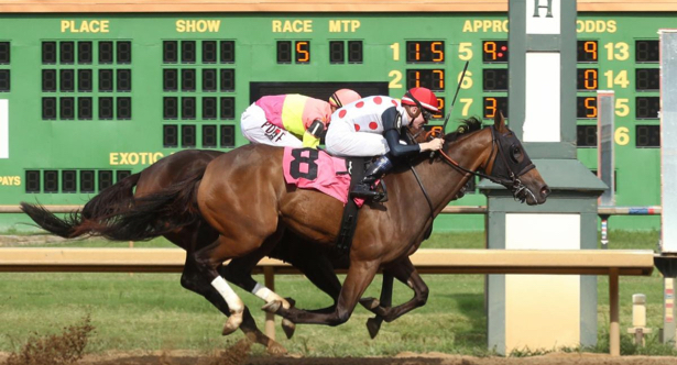 'His own worst critic,' apprentice jockey Carroll on the rise