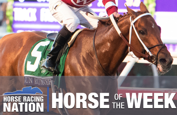 Gun Runner voted the latest HRN Horse of the Week
