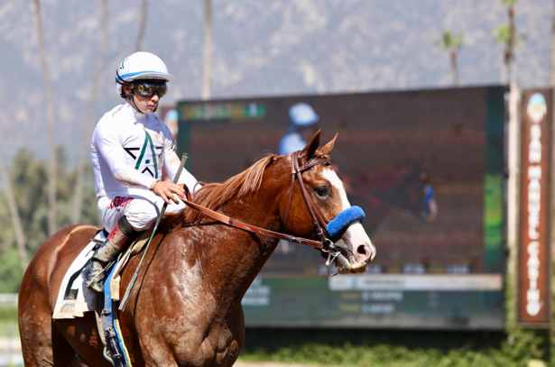 Kentucky Derby 2019 Radar: Solid debuts for Justify's owners
