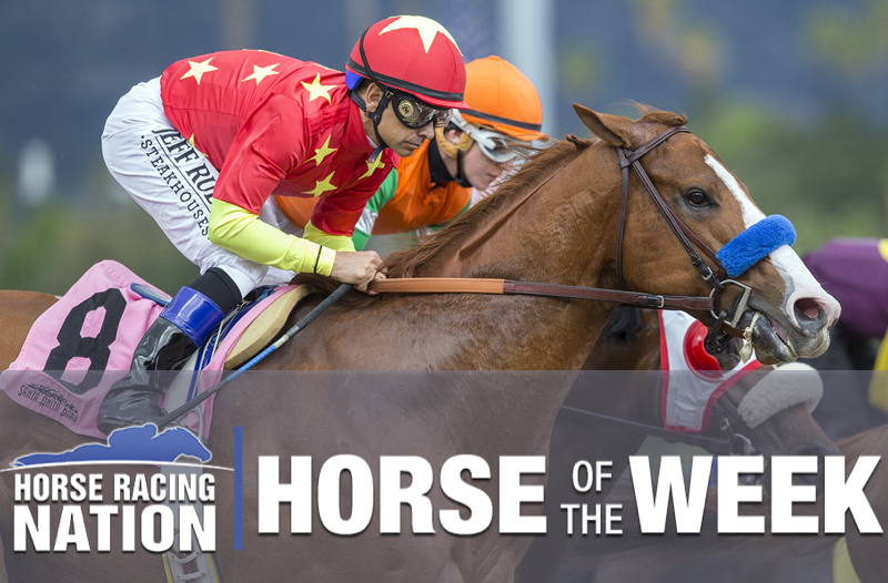 The hype continues: Justify voted HRN's Horse of the Week