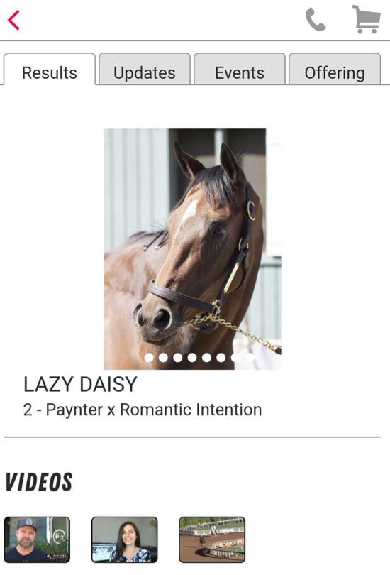 Ryan: A setback, but still promise for 'MyRacehorse' Lazy Daisy