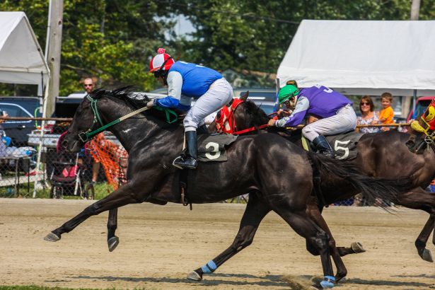 Thoroughbreds Steal the Show at the Van Wert County Fair